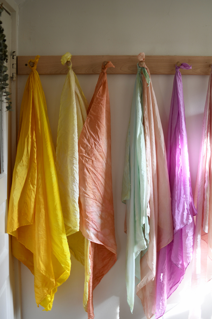 tie-dy – THE BRENTON ARBORETUM